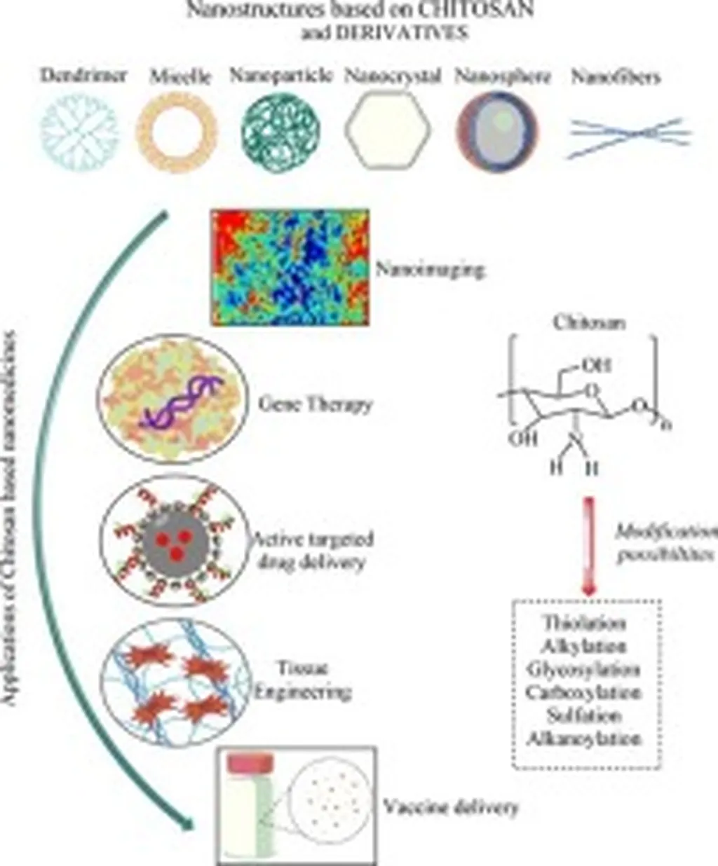 Brazilian Study Simplifies Chitosan Characterization for Broader Use ...